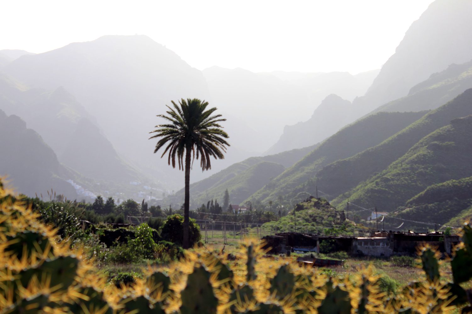 ¿Dónde está Agaete? - Información de viaje - Visit Agaete